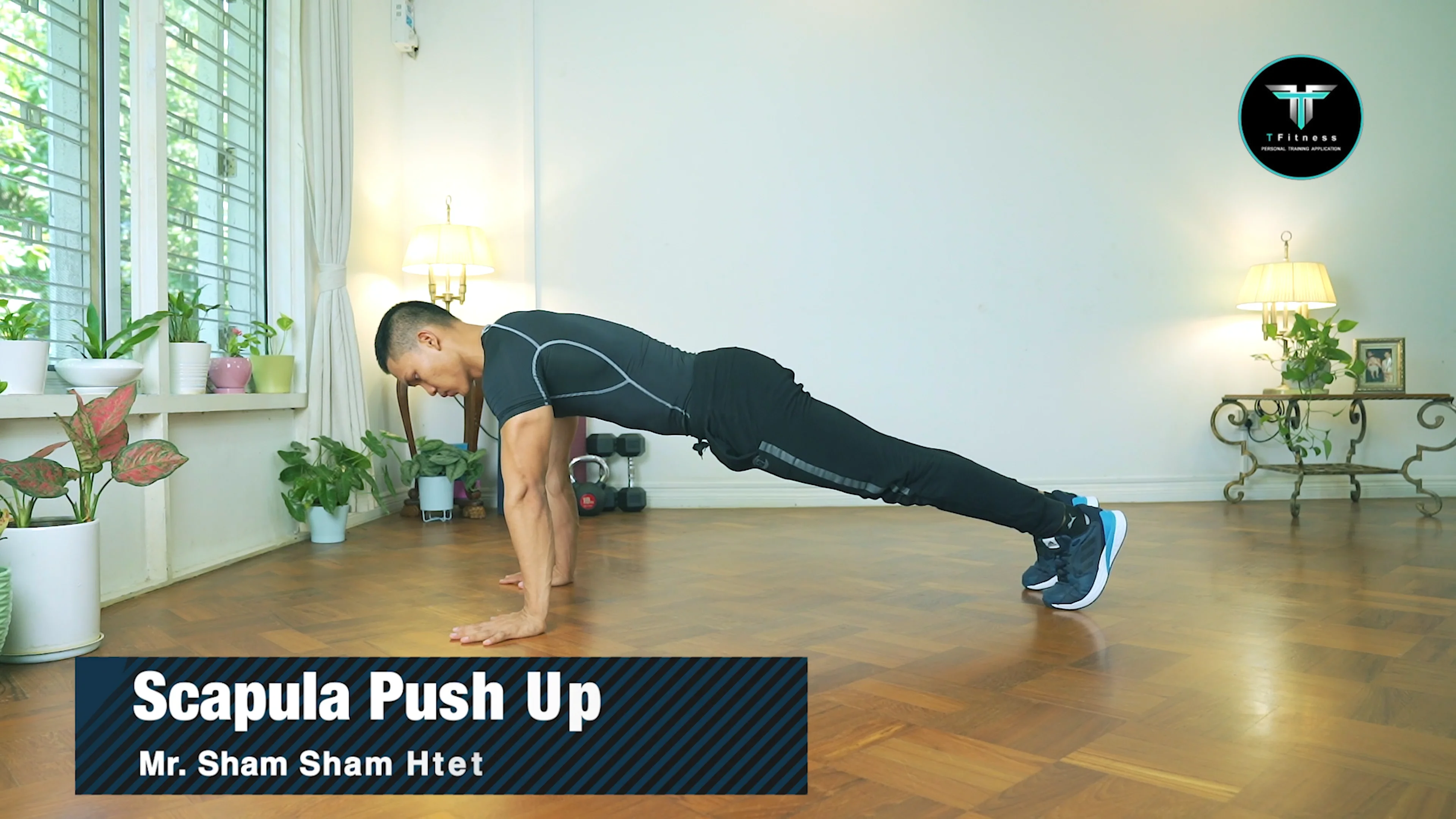 Scapula Push Up (35 sec).mp4 on Vimeo