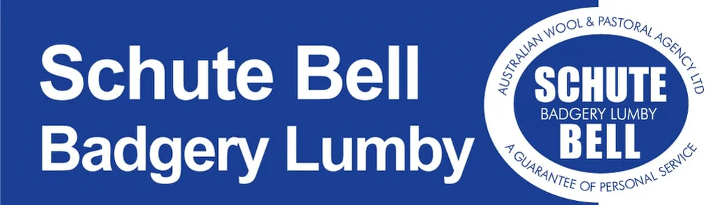 S29 17 January 2023 on Vimeo