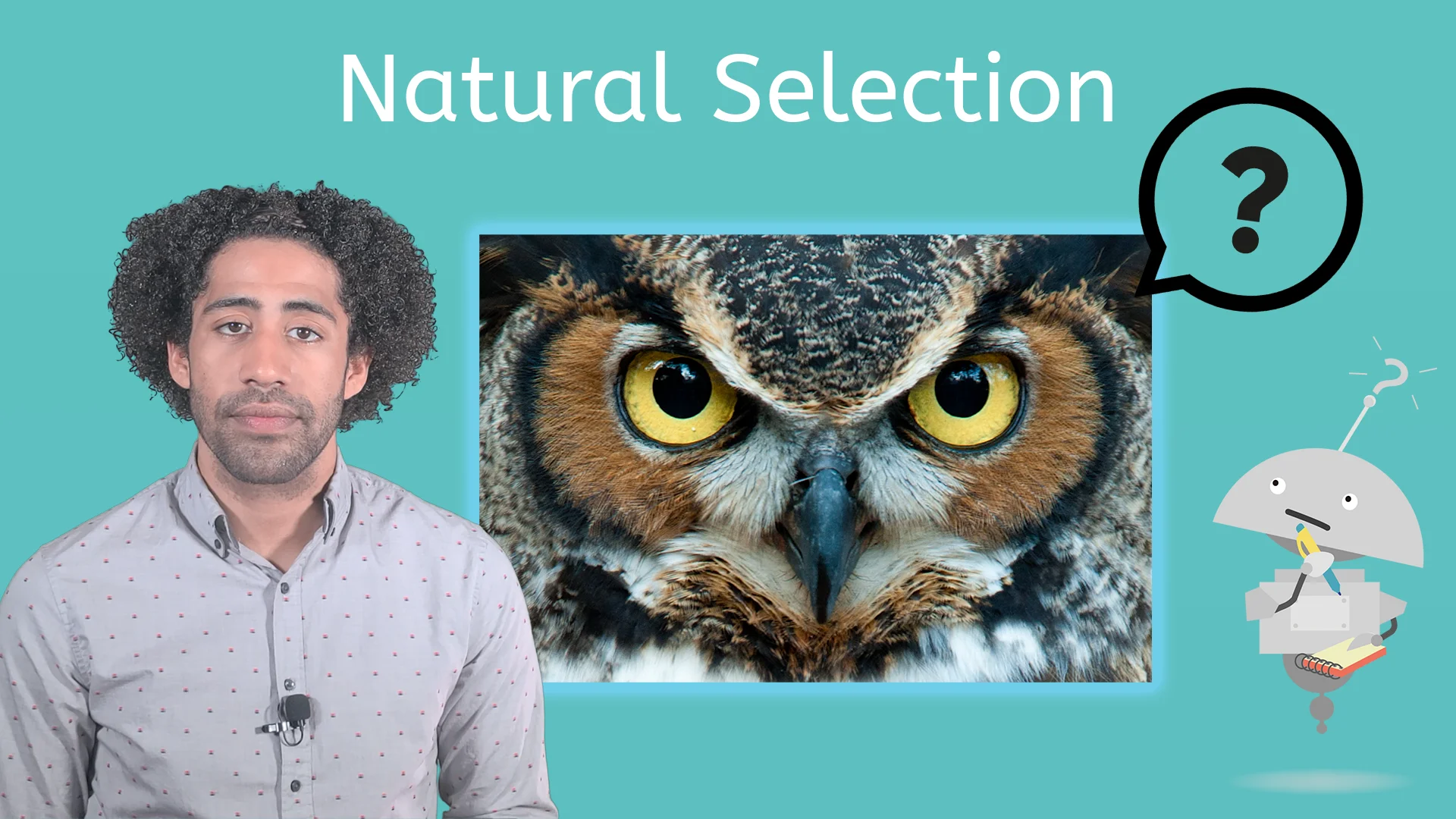 Natural Selection