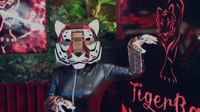Tiger Mask Martin Garrix