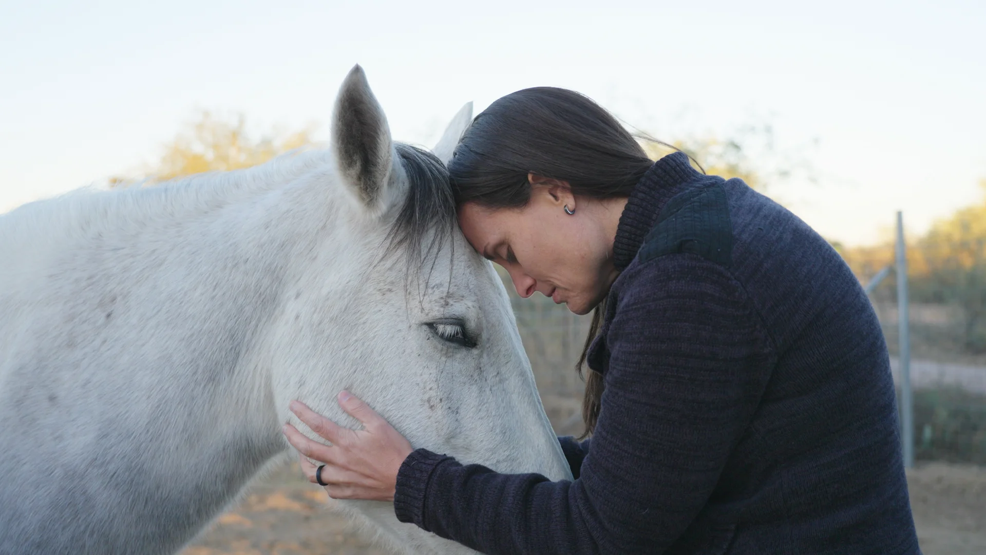 Rescued Hearts Documentary Teaser Video on Vimeo