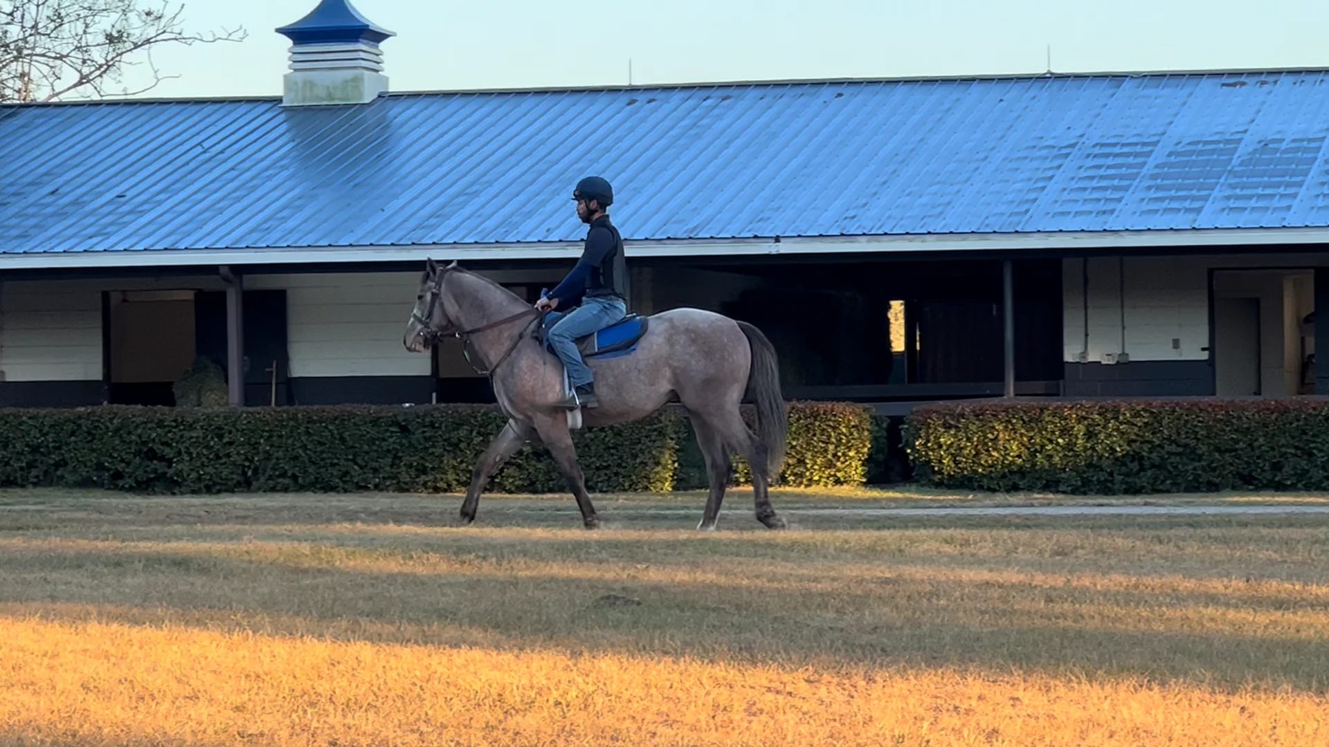Liam’s Map Stowe White