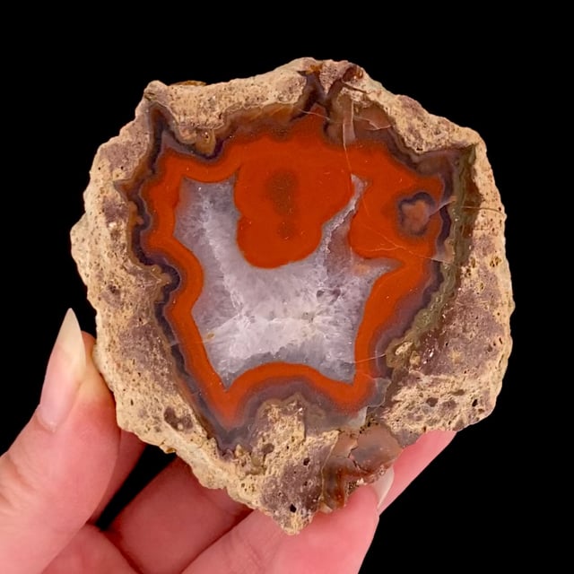 Agate (polished) | Sankt Egidien, Zwickau District, Saxony, Germany