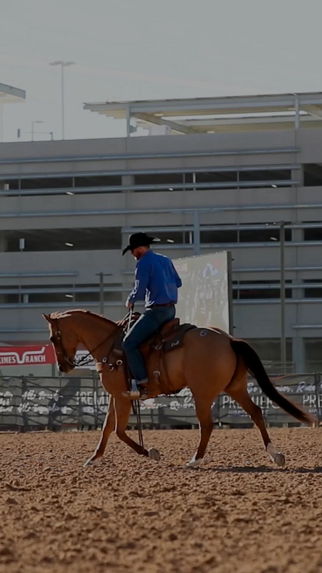 Reel DD no sound - Premier Horse Sales - DITD - Reel 2022 - 2.mp4 on Vimeo