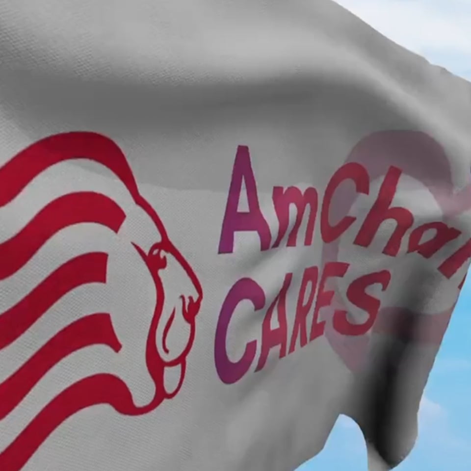 AmCham Singapore - Our Programs
