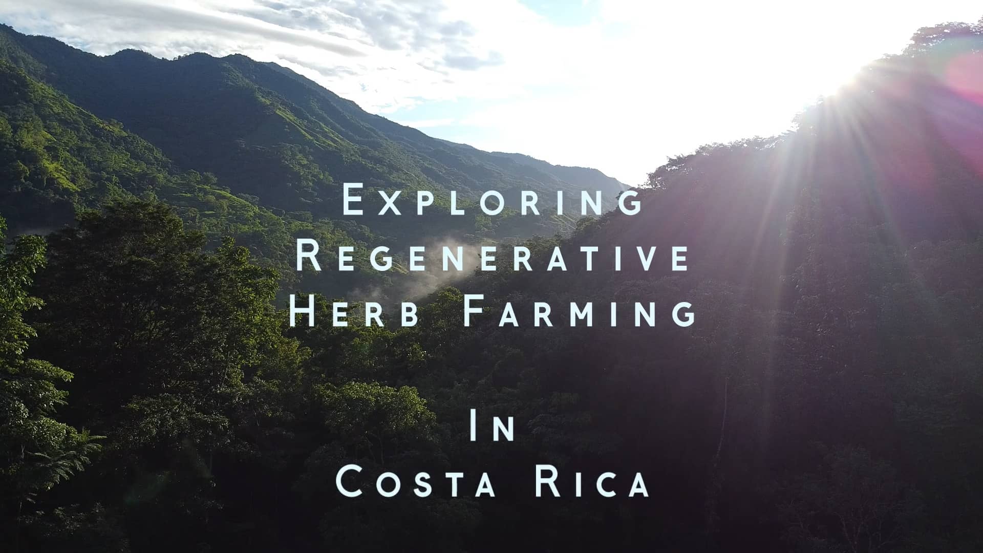 Exploring Regenerative Herb Farming in Costa Rica on Vimeo