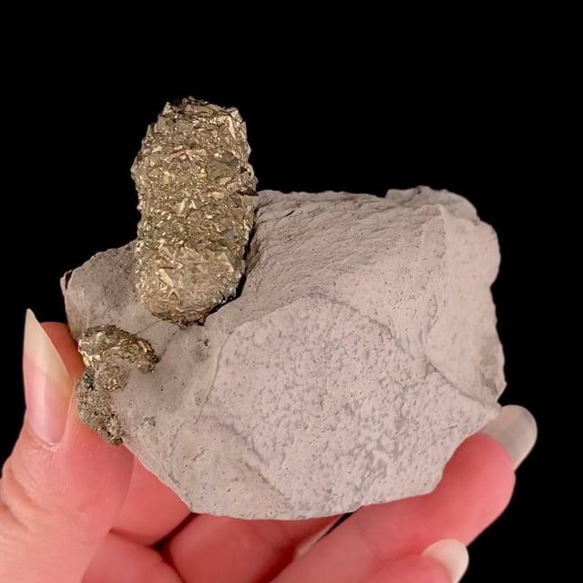 Pyrite (rare matrix specimen for the locality) | Portland Limestone ...