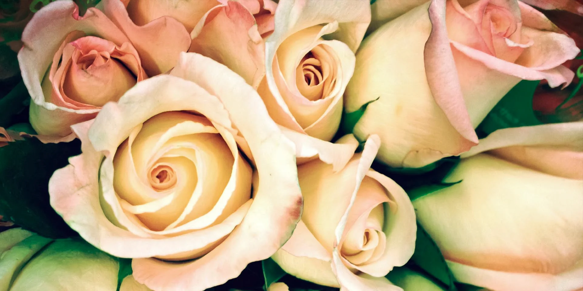 Wedding of Laura Grove and Fletcher Prouty on Vimeo
