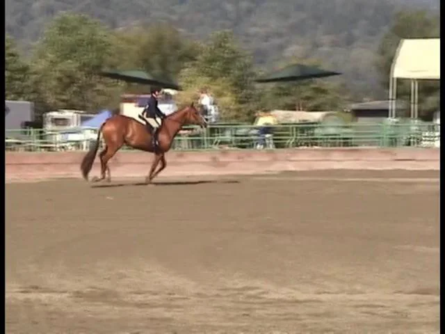 Haley Webster on Belladonna on Vimeo