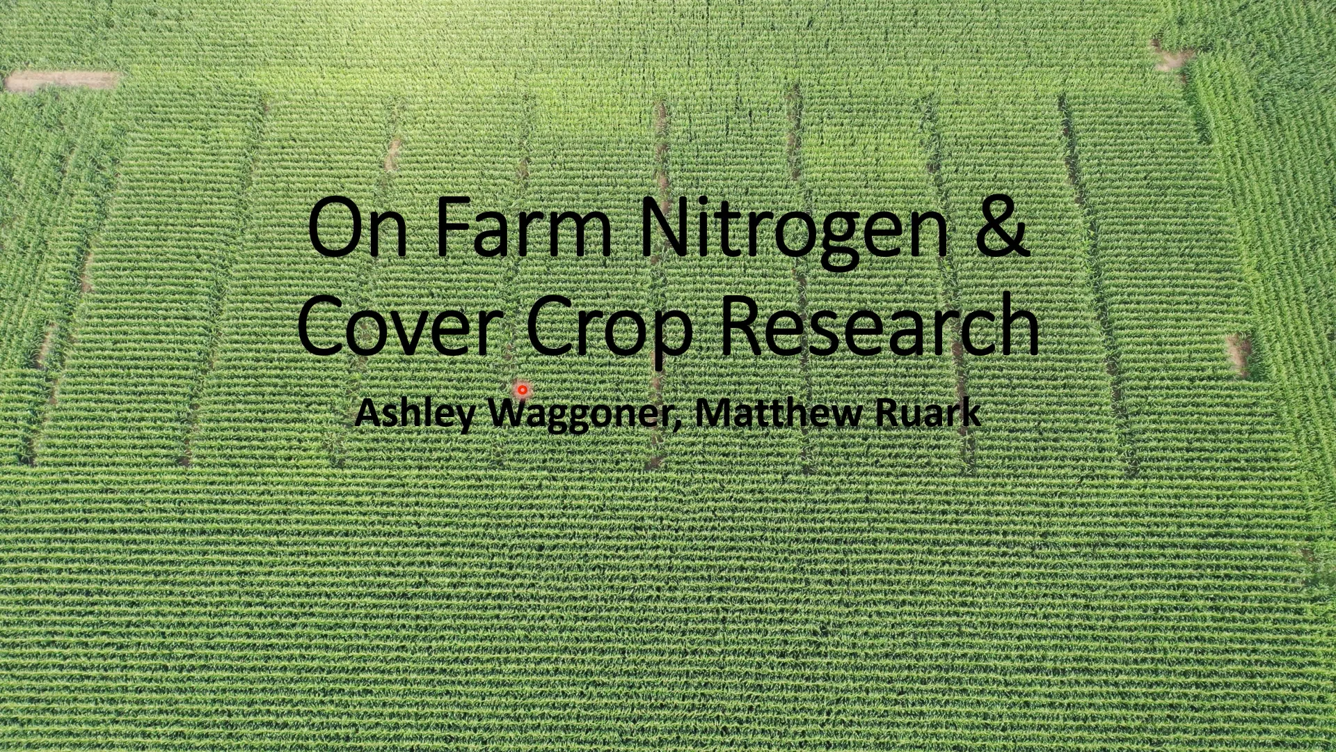 On farm nitrogen & cover crop research on Vimeo