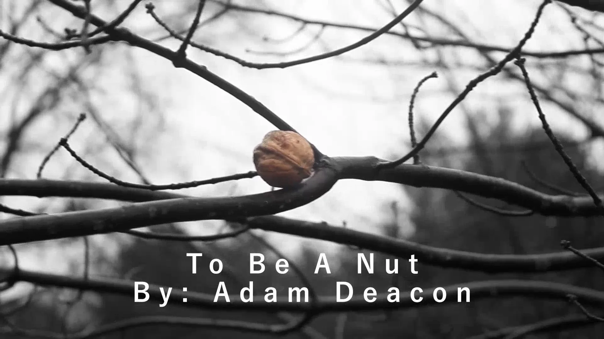 TO BE A NUT_Adam Deacon_501246624.mp4 on Vimeo
