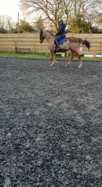 1 Rocky walk LR.mp4 on Vimeo