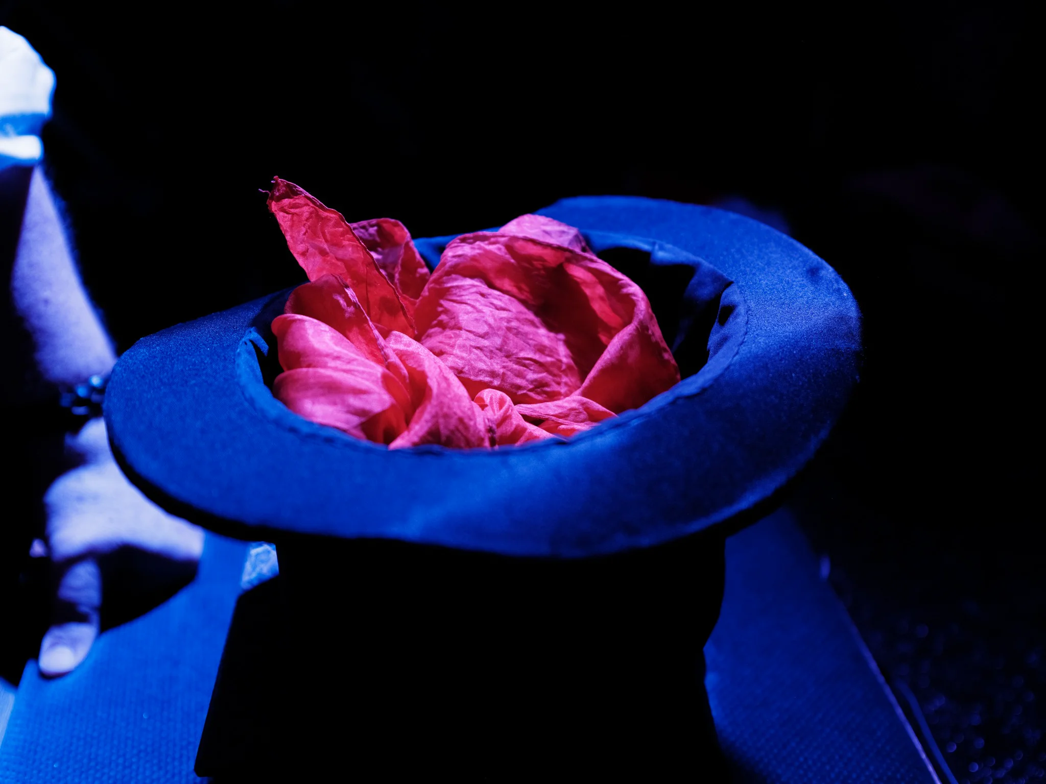 Gypsy. 2022 Show on Vimeo