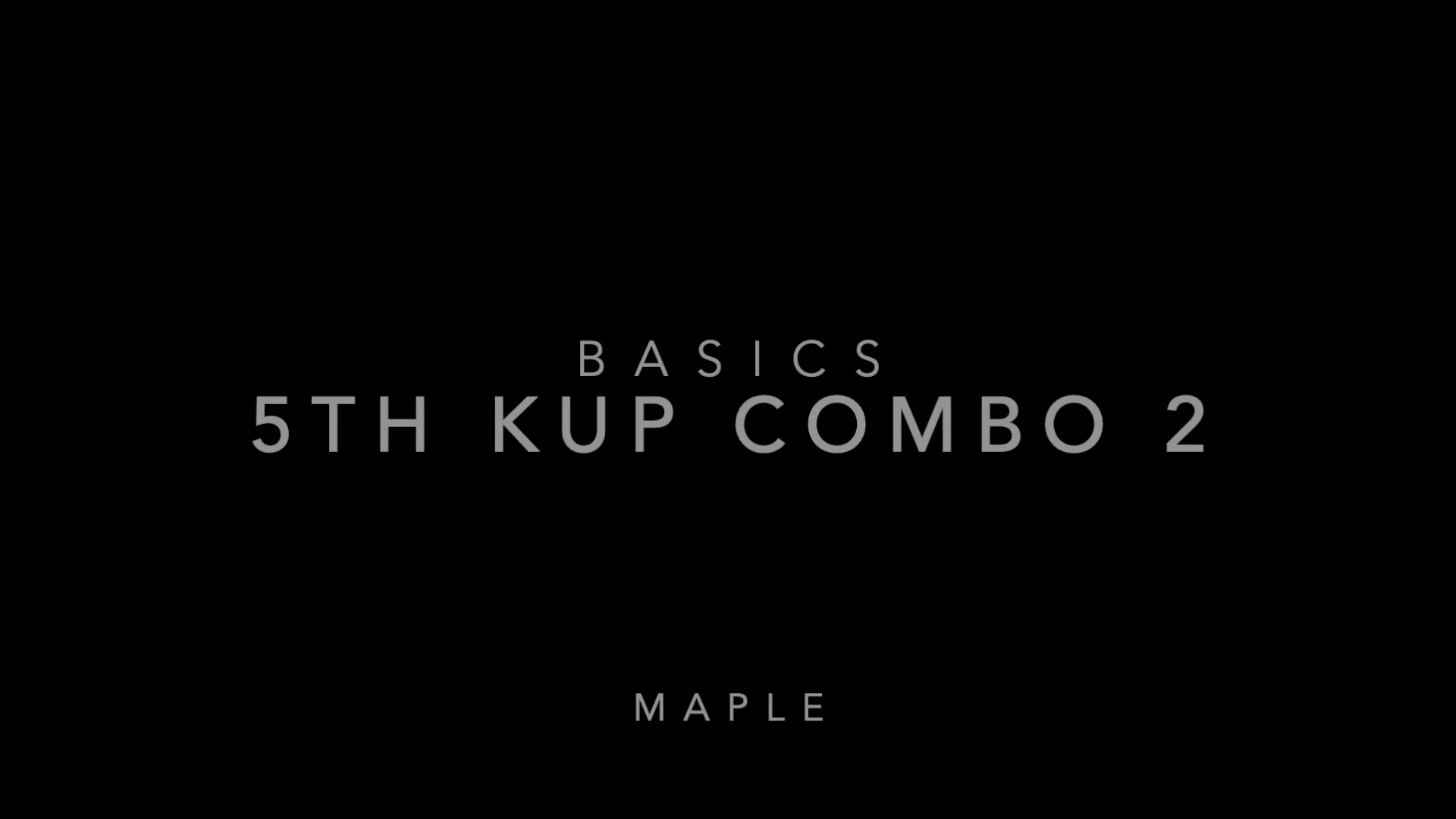 Traditional-5th-Kup-Combo-2 on Vimeo