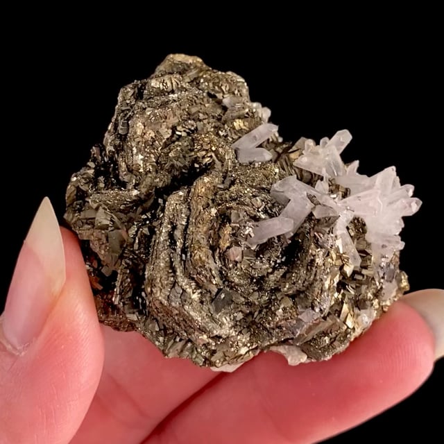 Pyrite pseudomorph after Pyrrhotite (''roses'') | Zacatecas, Mexico