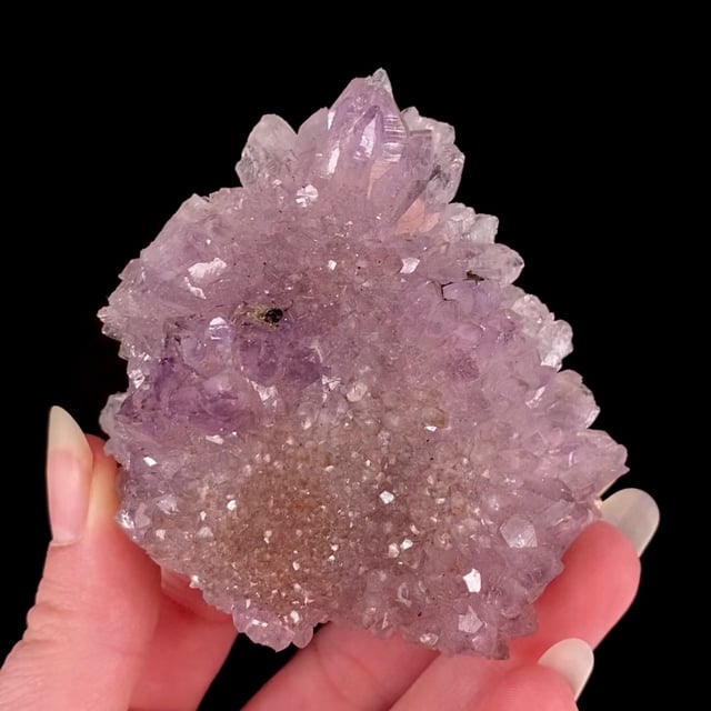 Amethyst (''flower'') | Ametista do Sul, Rio Grande do Sul, Brazil