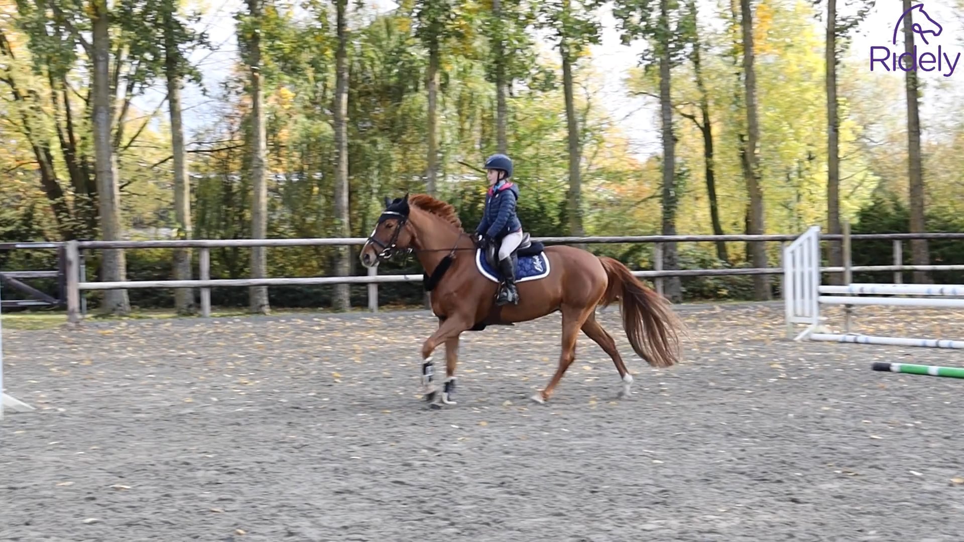 Counting Strides | Ridely