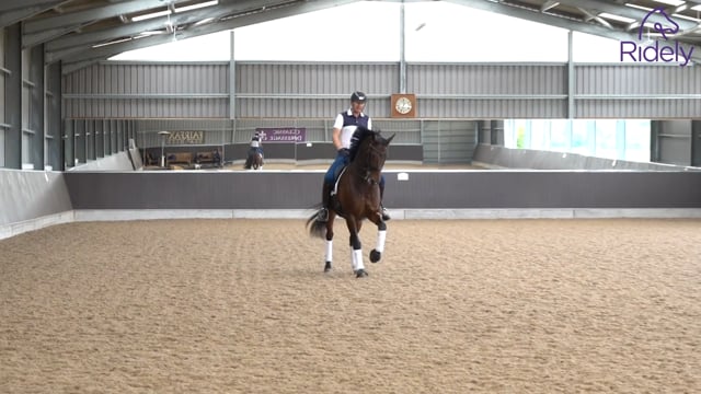 Equestrian Training Videos & Riding Exercises | Ridely