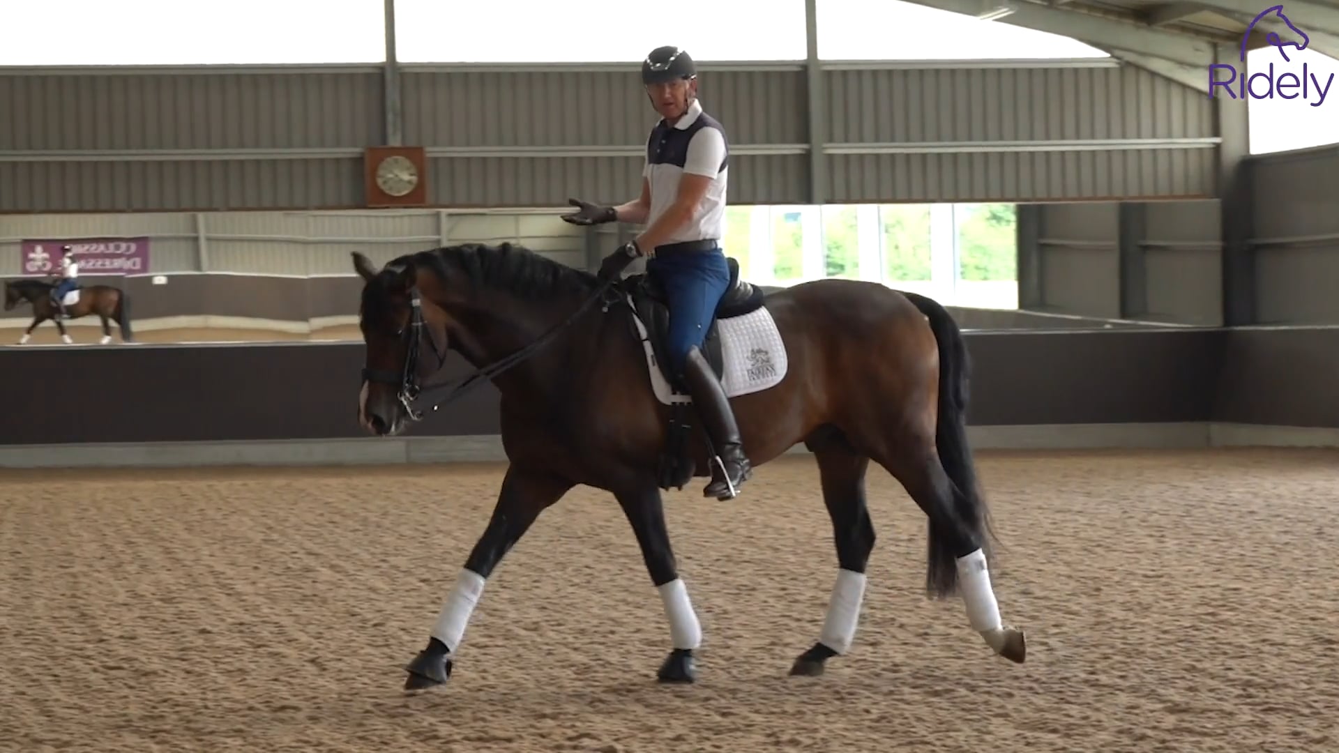 Gareth Hughes: The fundamentals of higher level dressage | Ridely