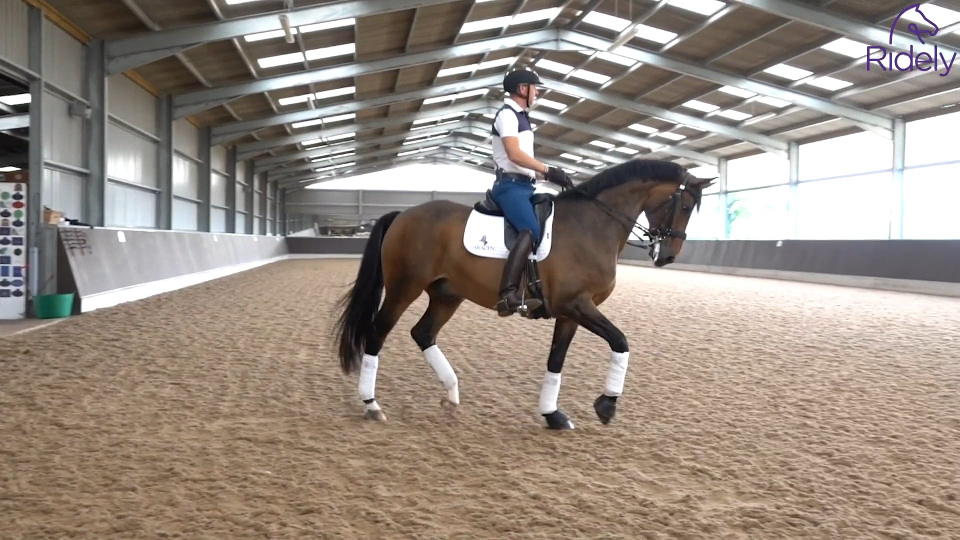 Introducing the passage | Ridely