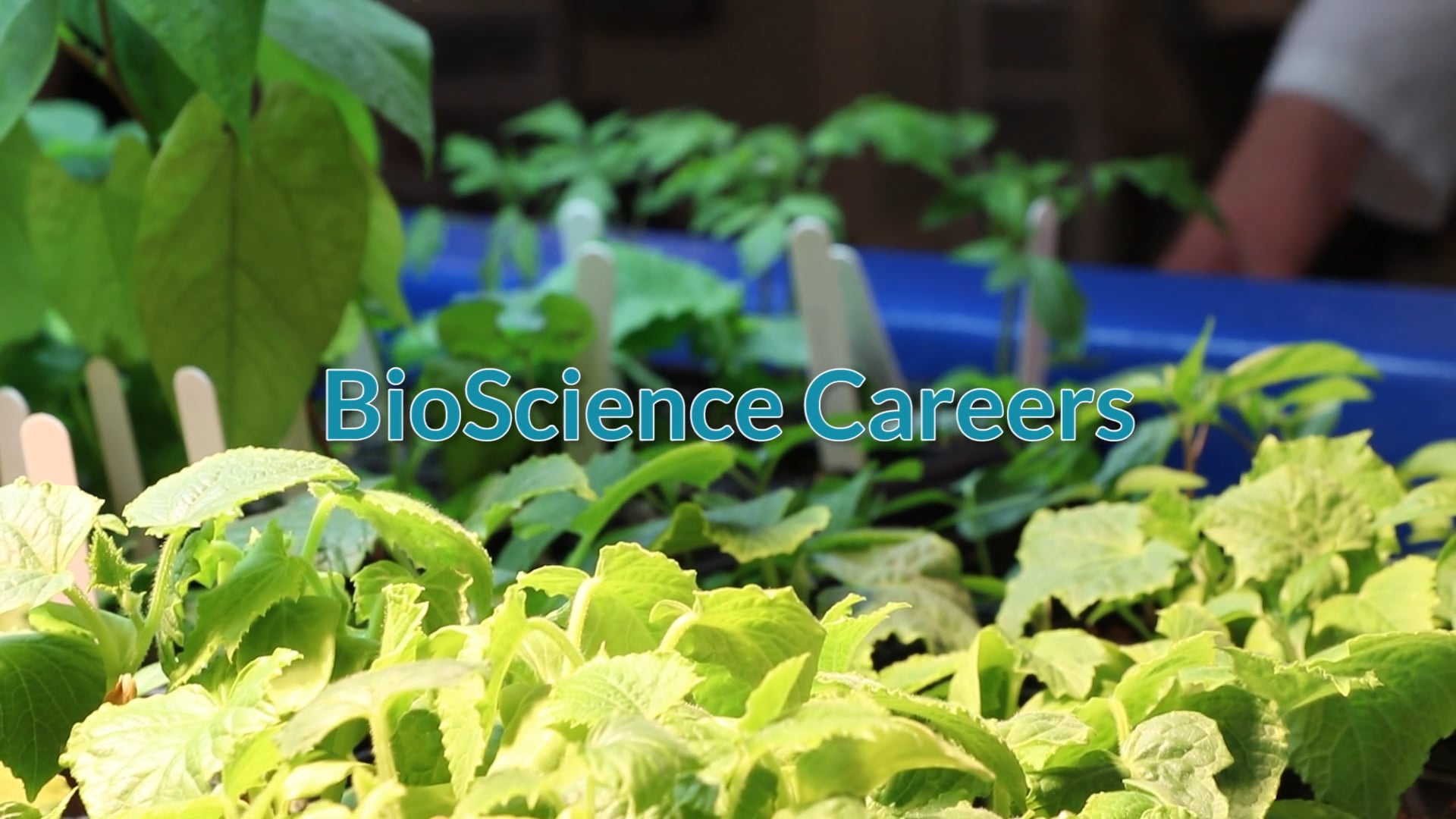 BioScience Careers on Vimeo