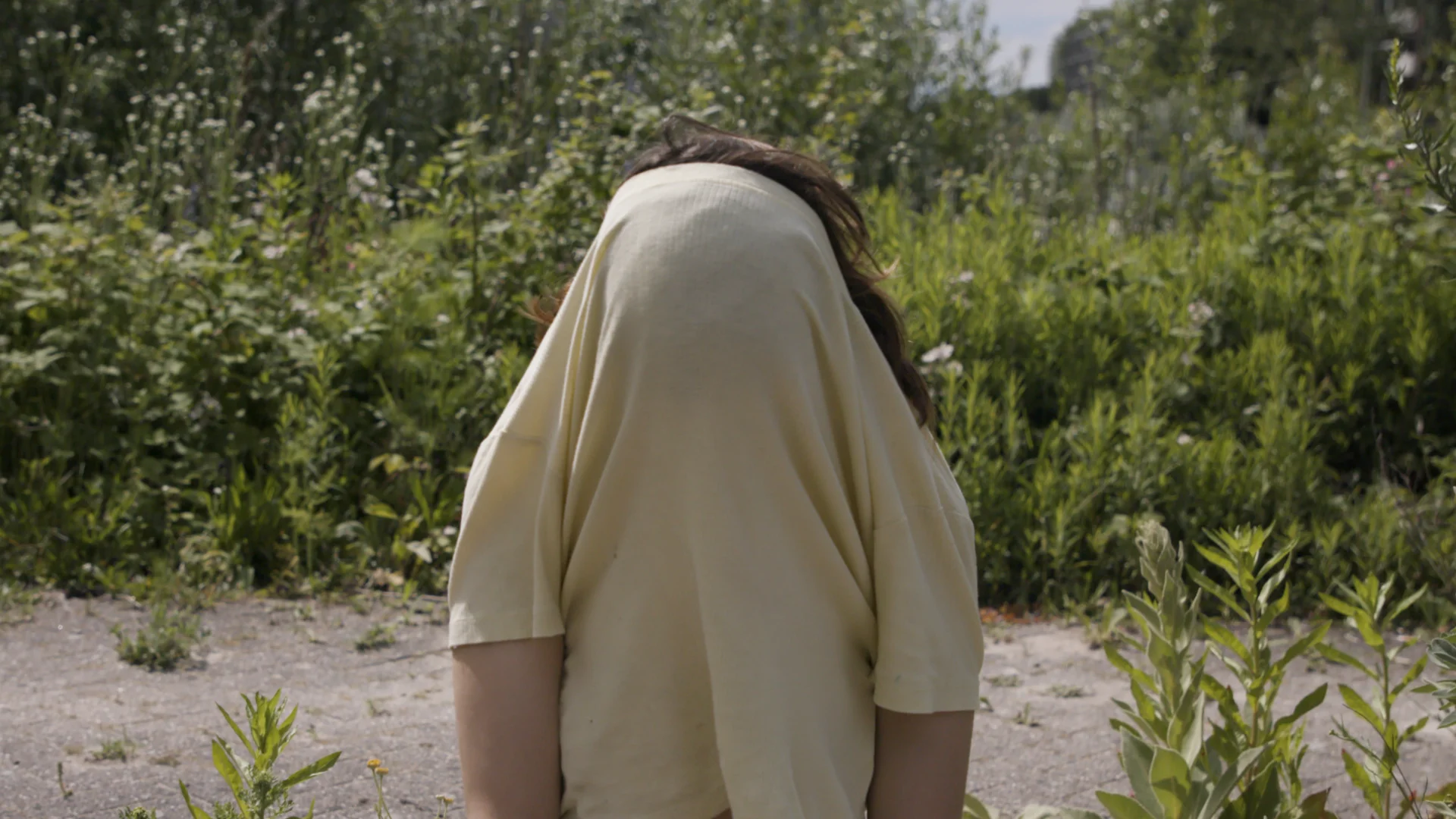 Lexicon: Camouflage on Vimeo