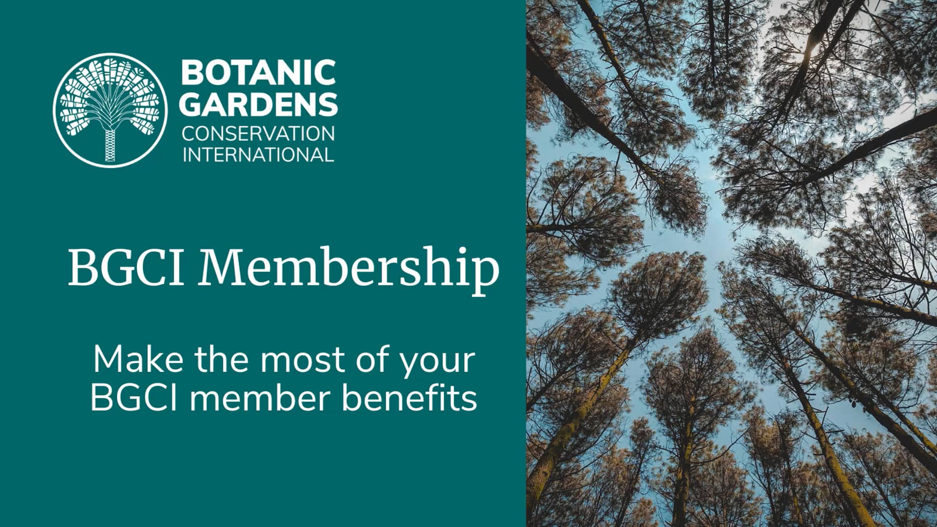 BGCI Membership - How to navigate SheepApp on Vimeo