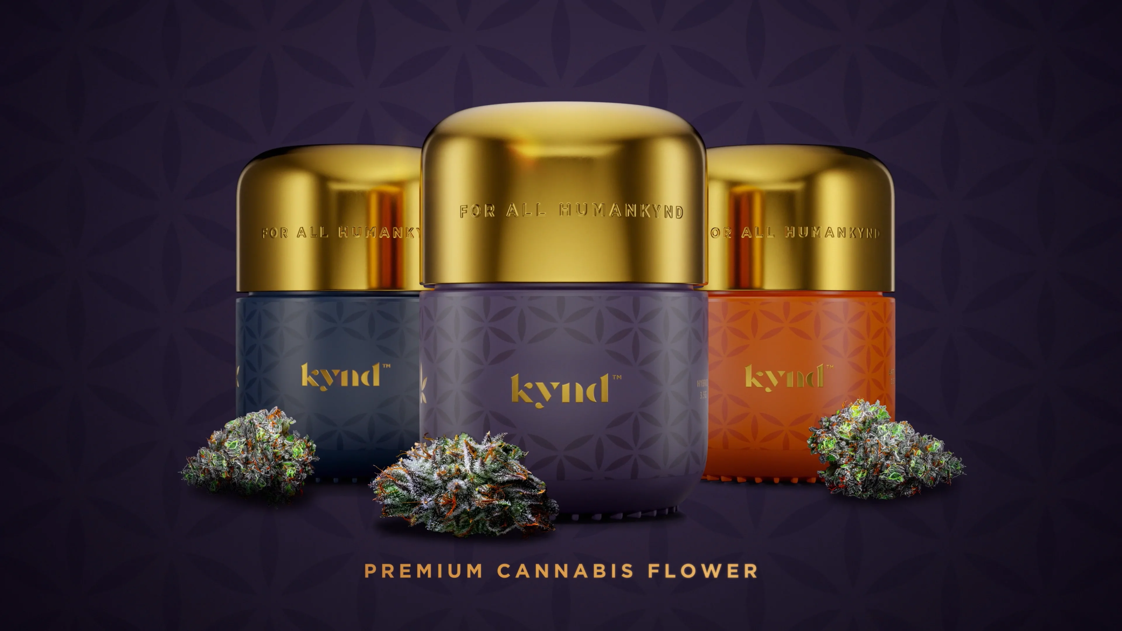 Ayr_Kynd_15sAni_220627_Music_HQ_B on Vimeo