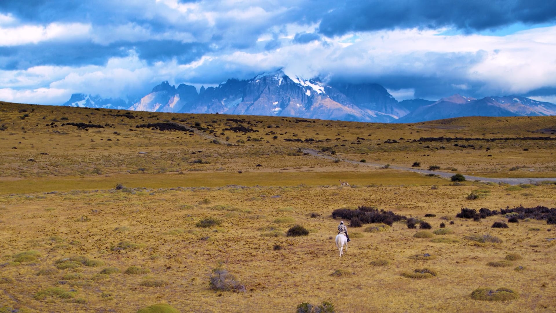 CNN Original Series & Films 2022.mov on Vimeo