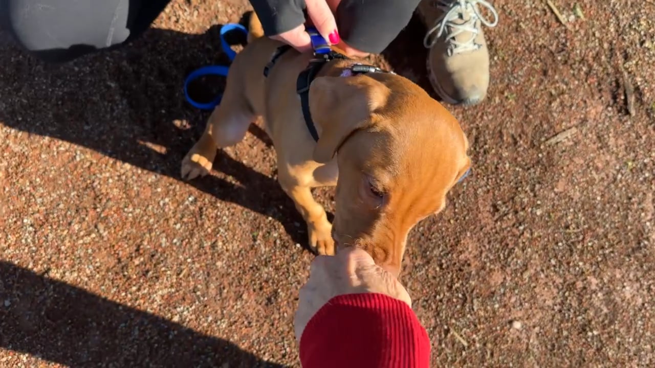 Hazel &River TIP.mp4 on Vimeo