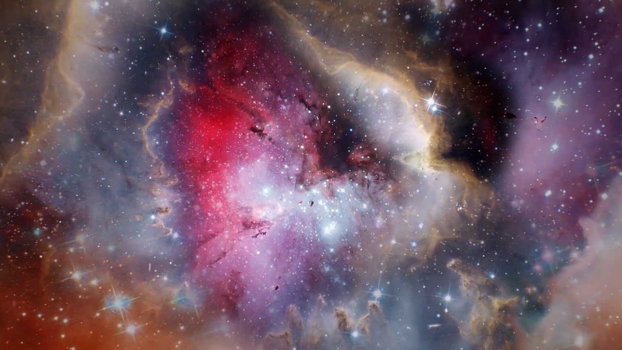 Master Juniper Bloom Mystique