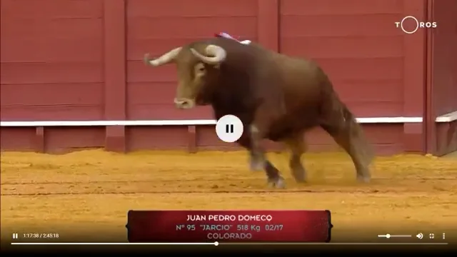TORERO PARA LA HISTORIA... MORANTE DE LA PUEBLA FERIA DE SAN MIGUEL ...