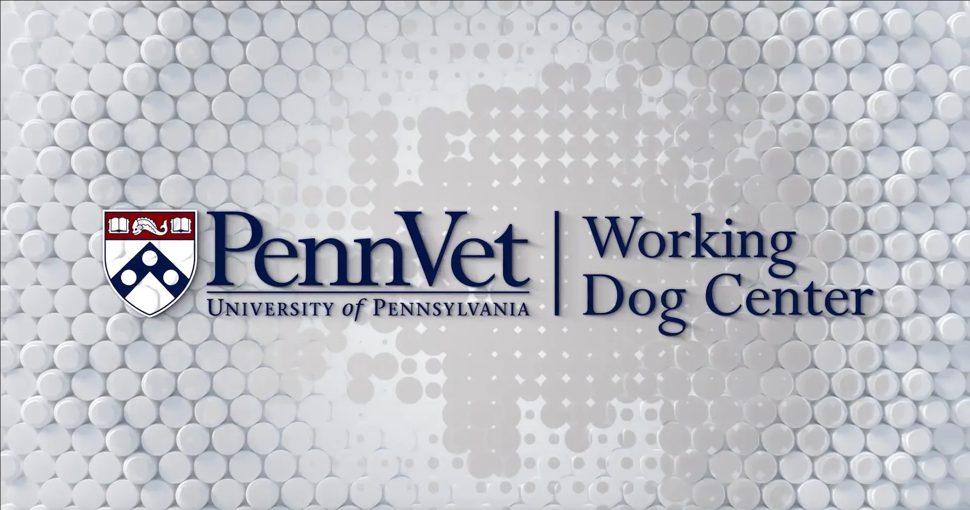 Penn Vet Logo Penn Vet | Home