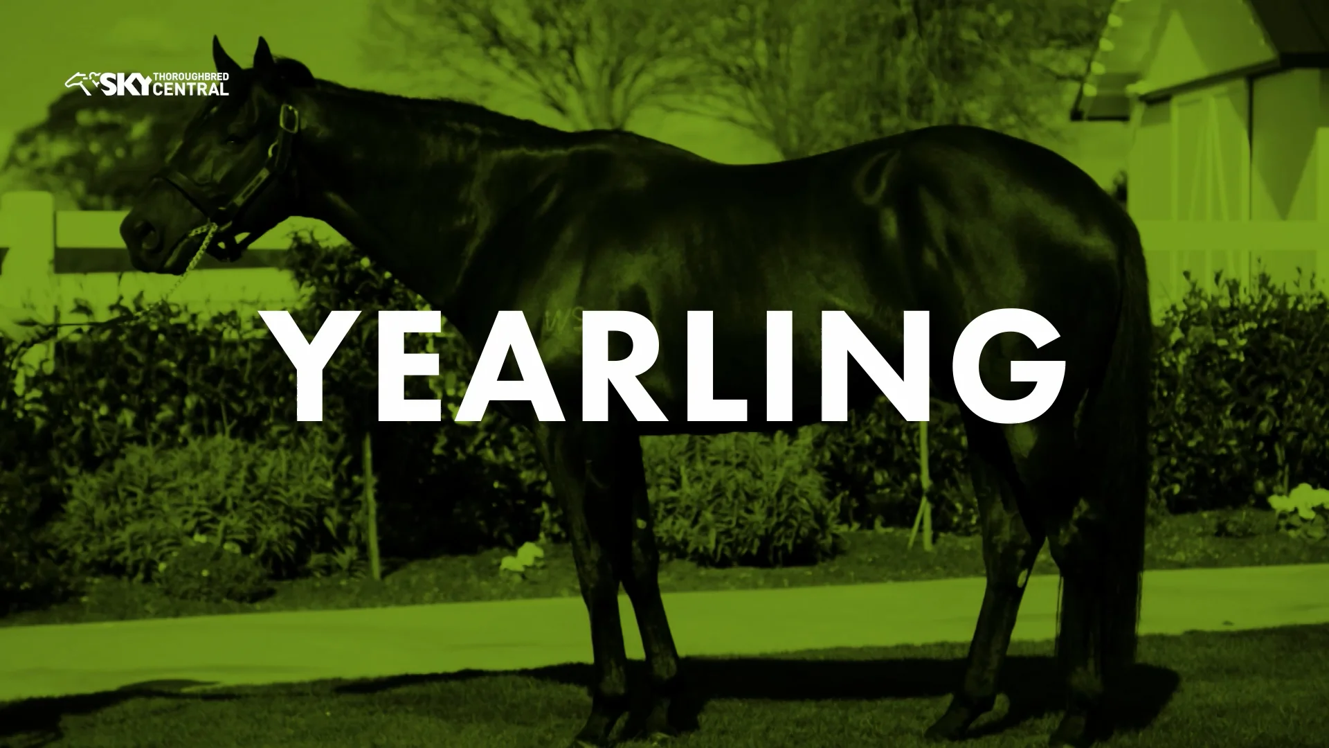 Karaka 2023 Preview | Caroline Searcy on Vimeo