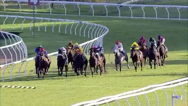 I Am Invincible - Stallion | Breednet