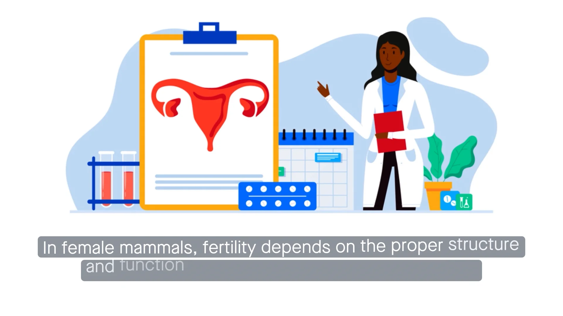 Mechanical cues drive regeneration of the uterine lining after injury ...