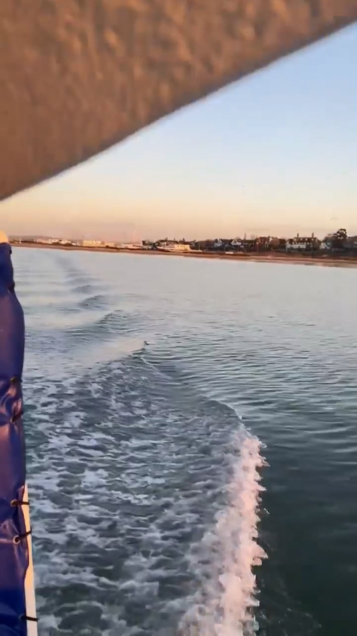 Mersea Island - Mersea Island Fish