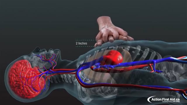 CPR on Vimeo