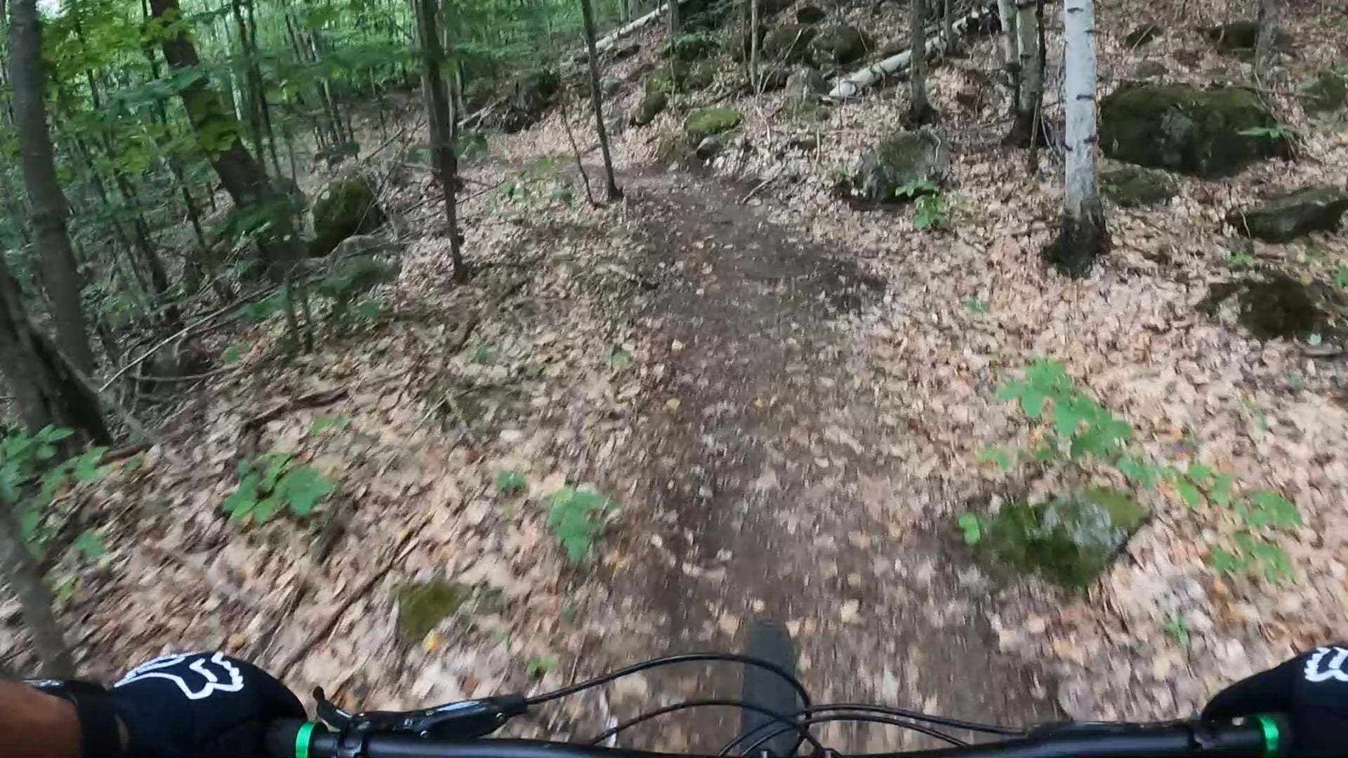 Coos Trails - Gorham, NH - August 2022.mp4 on Vimeo
