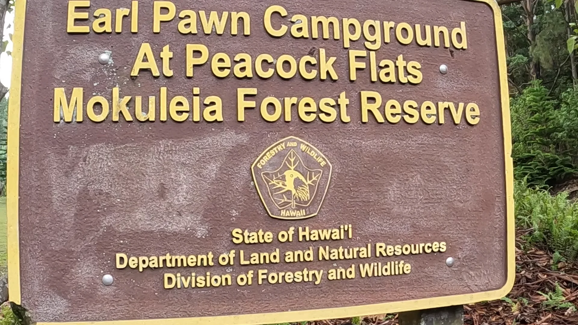 Peacock Flats-Mokuleia Forest Reserve, Oahu, Jan. 20, 2023 on Vimeo
