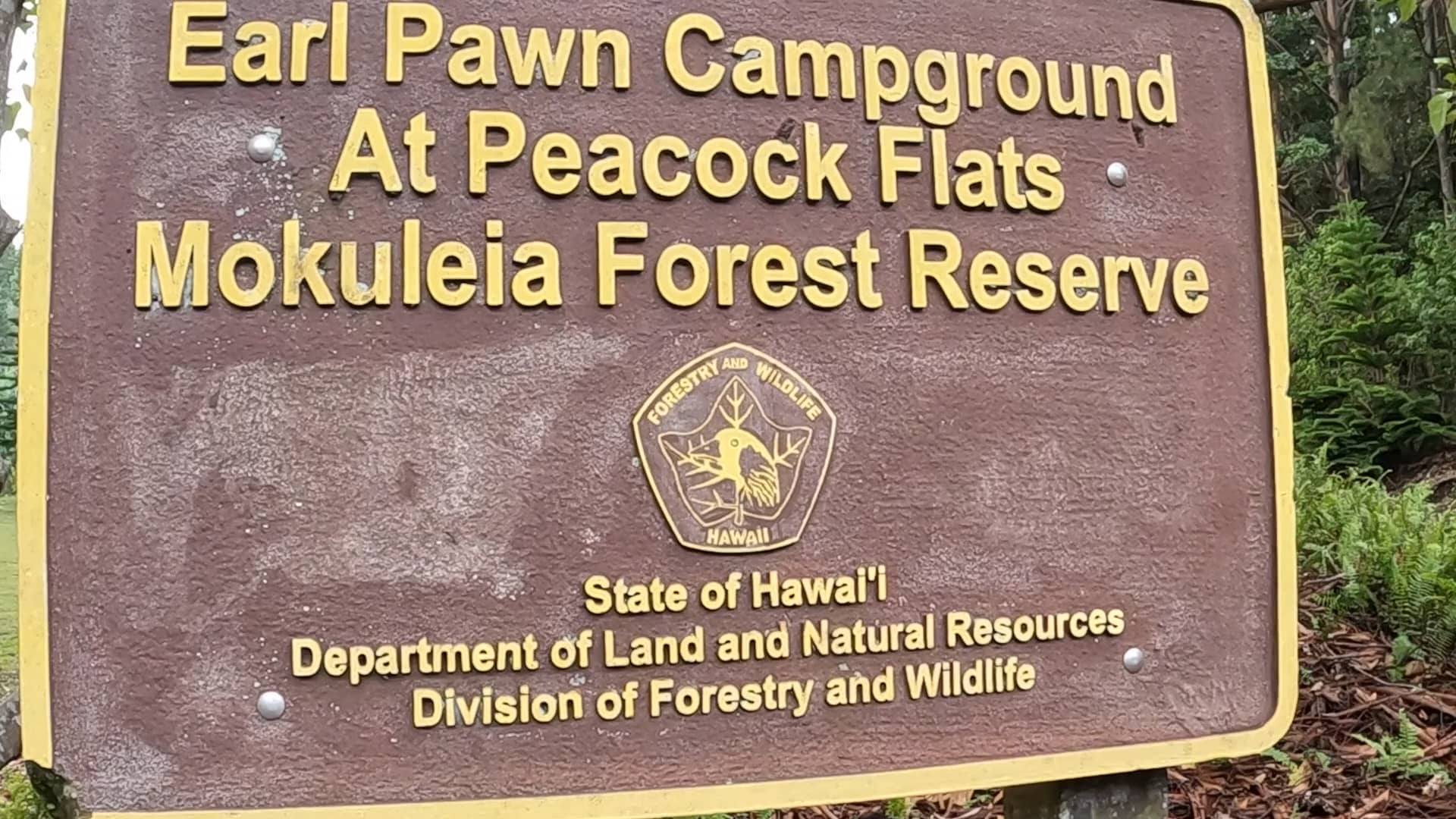 Peacock Flats-Mokuleia Forest Reserve, Oahu, Jan. 20, 2023 on Vimeo