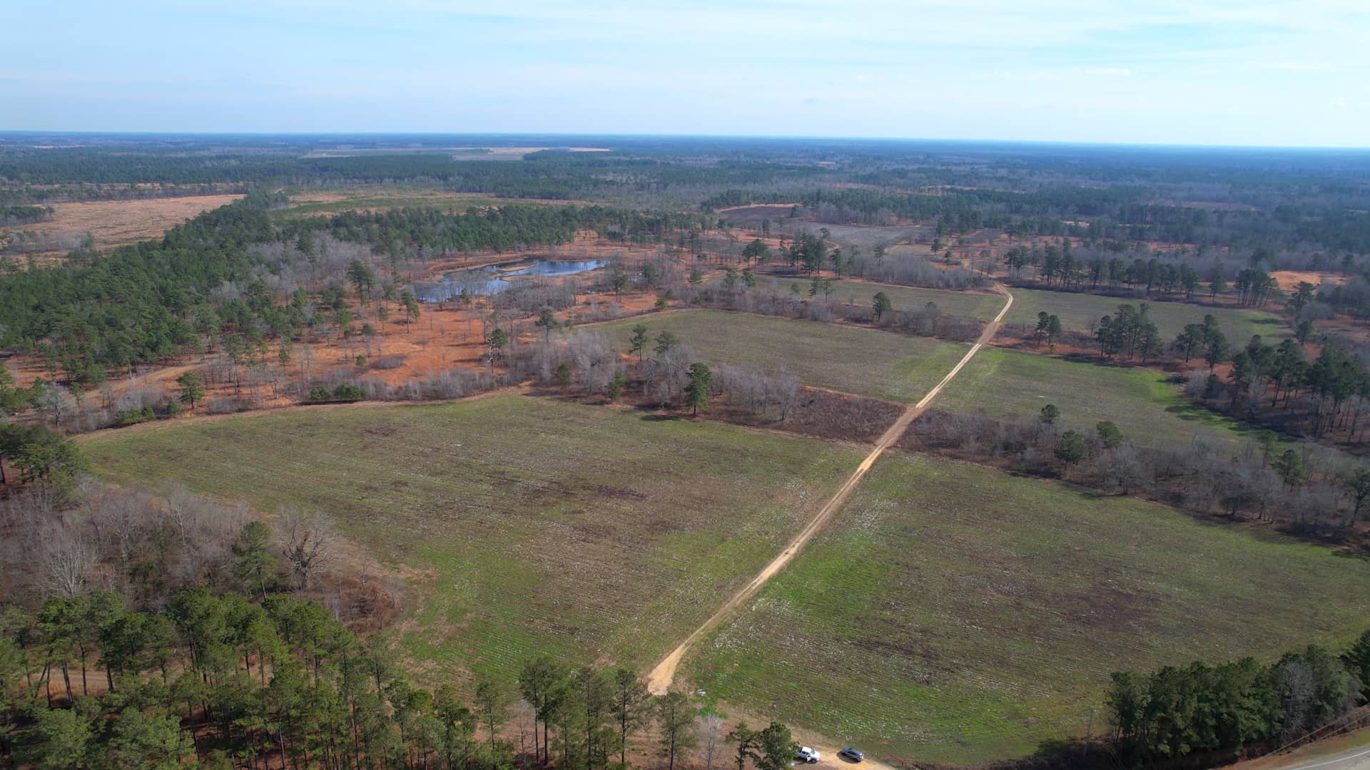 Land in Lane, SC on Vimeo