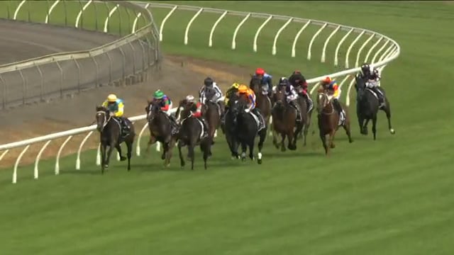 I Am Invincible - Stallion | Breednet