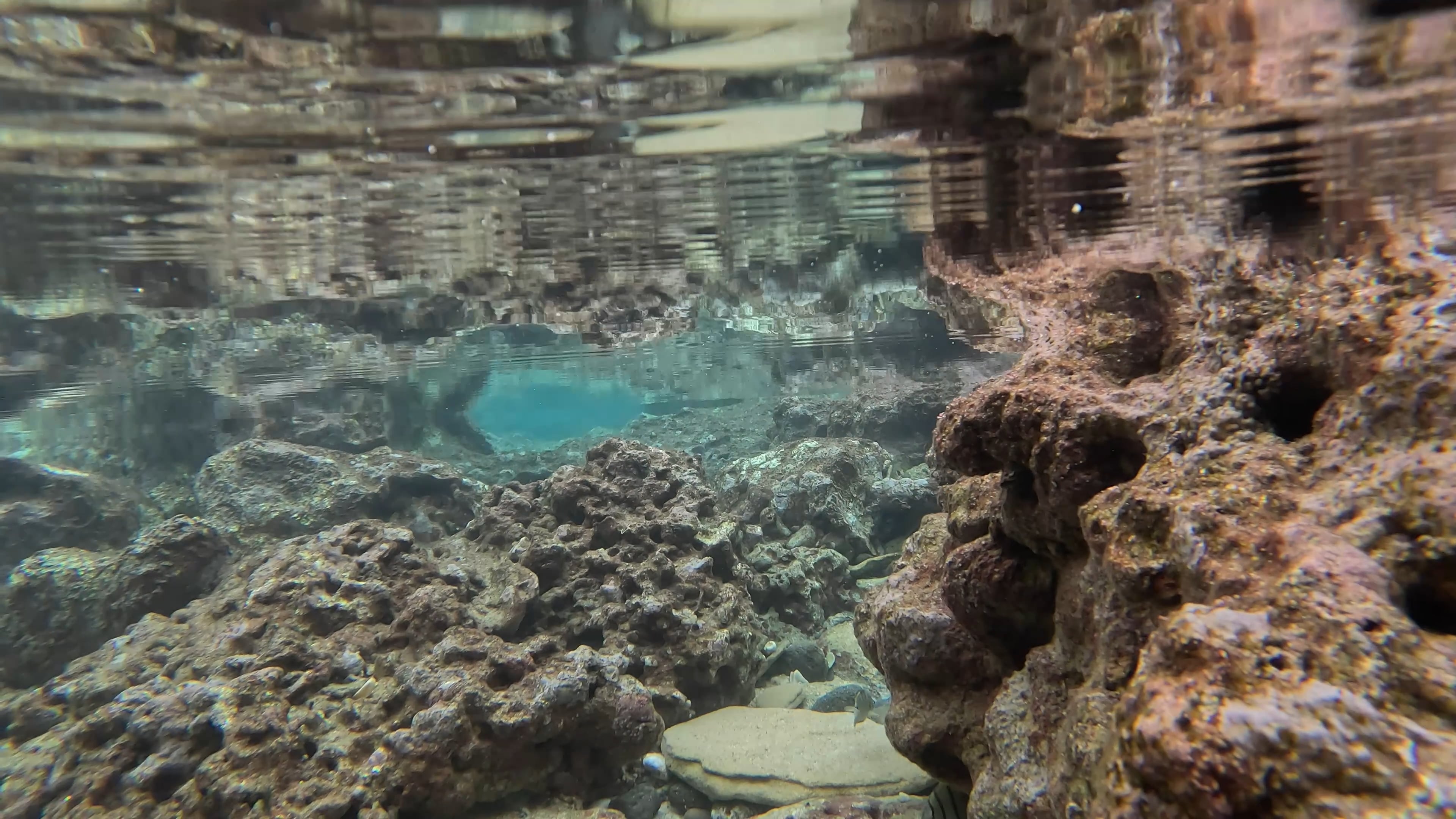 KAUAI TIDAL POOLS - 4K.mov