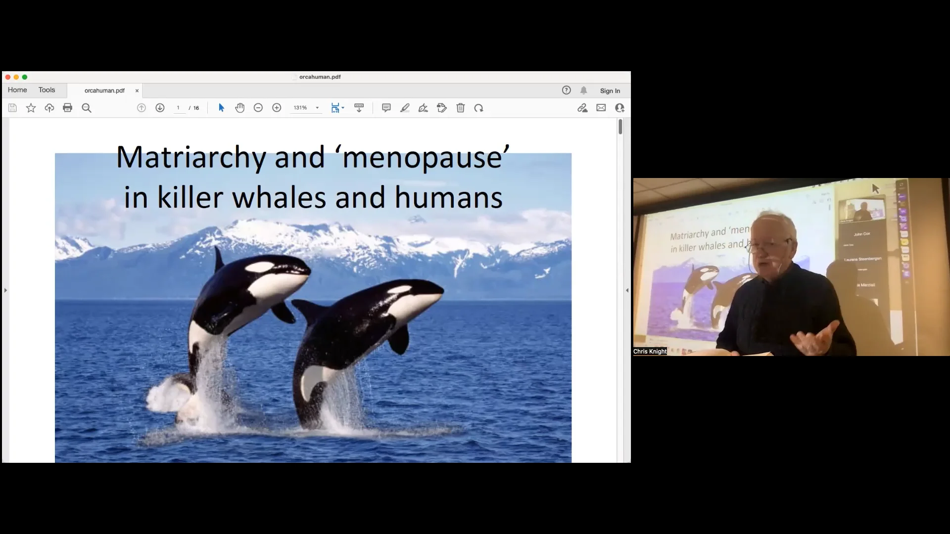 ‘Menopause and matriarchy in killer whales and humans’. Chris Knight ...