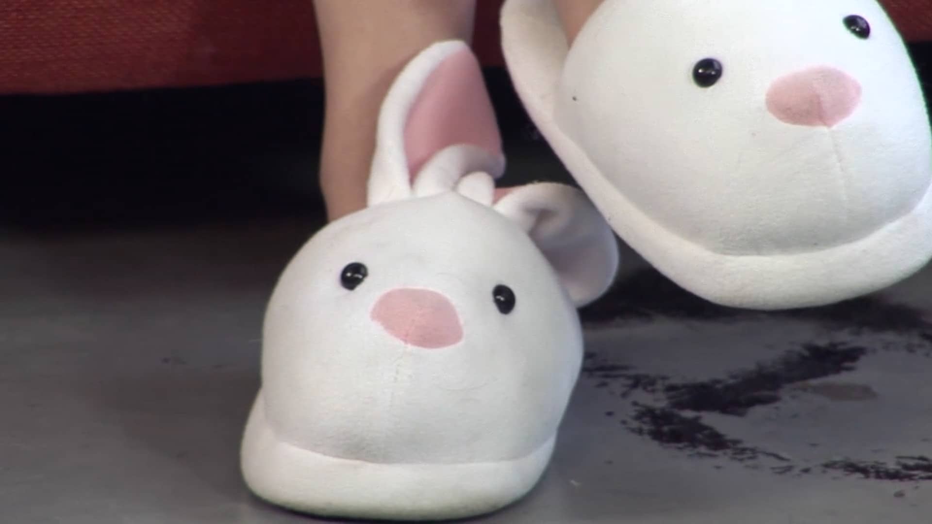 Schnibbe-Rabbit-People.mp4 on Vimeo