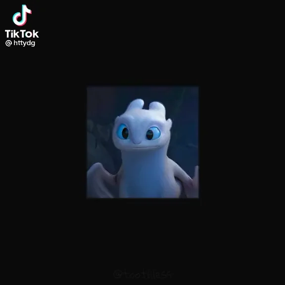 The Amazing World of Queen Mattéo - Toothless & the light fury (HTTYD ...