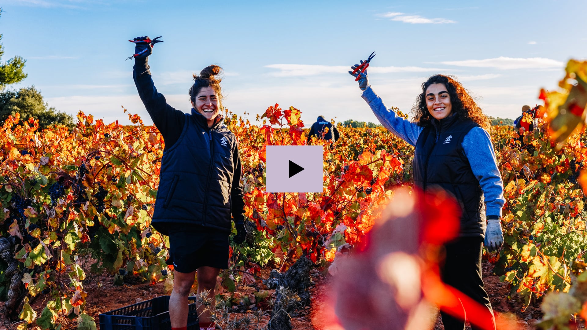 Neleman. Good wine to save the world. on Vimeo