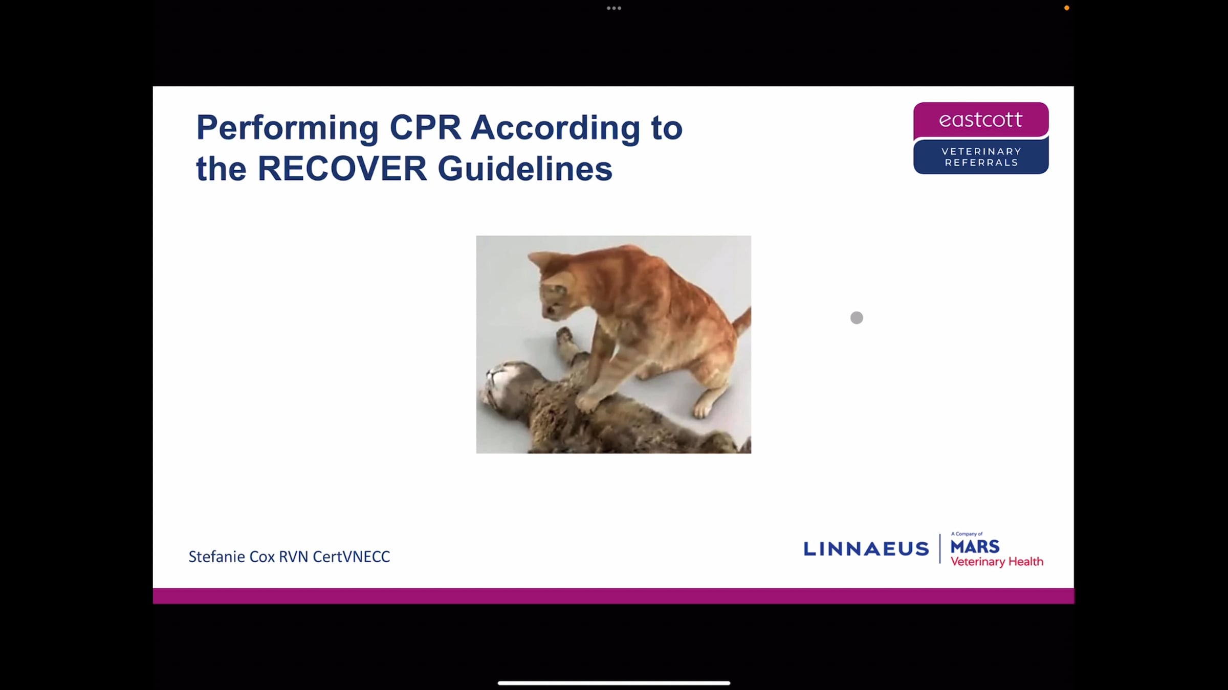 Performing CPR according to the RECOVER Guidelines