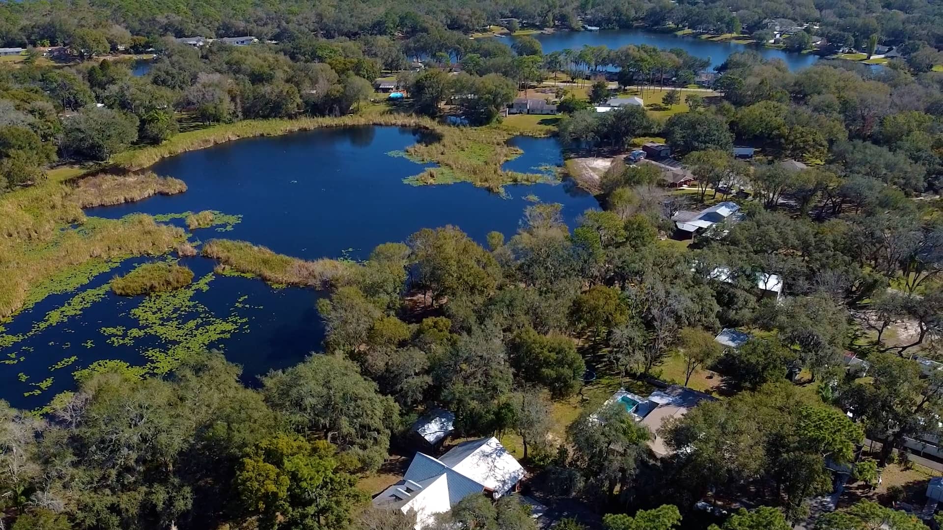 15913 W Lake Burrell Dr Lutz, FL 33549 Branded on Vimeo
